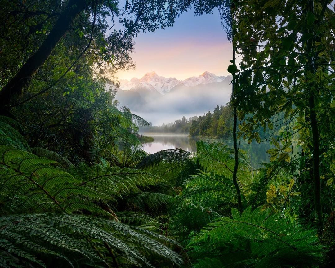 Native New Zealand Collection – Beauty and the Wind