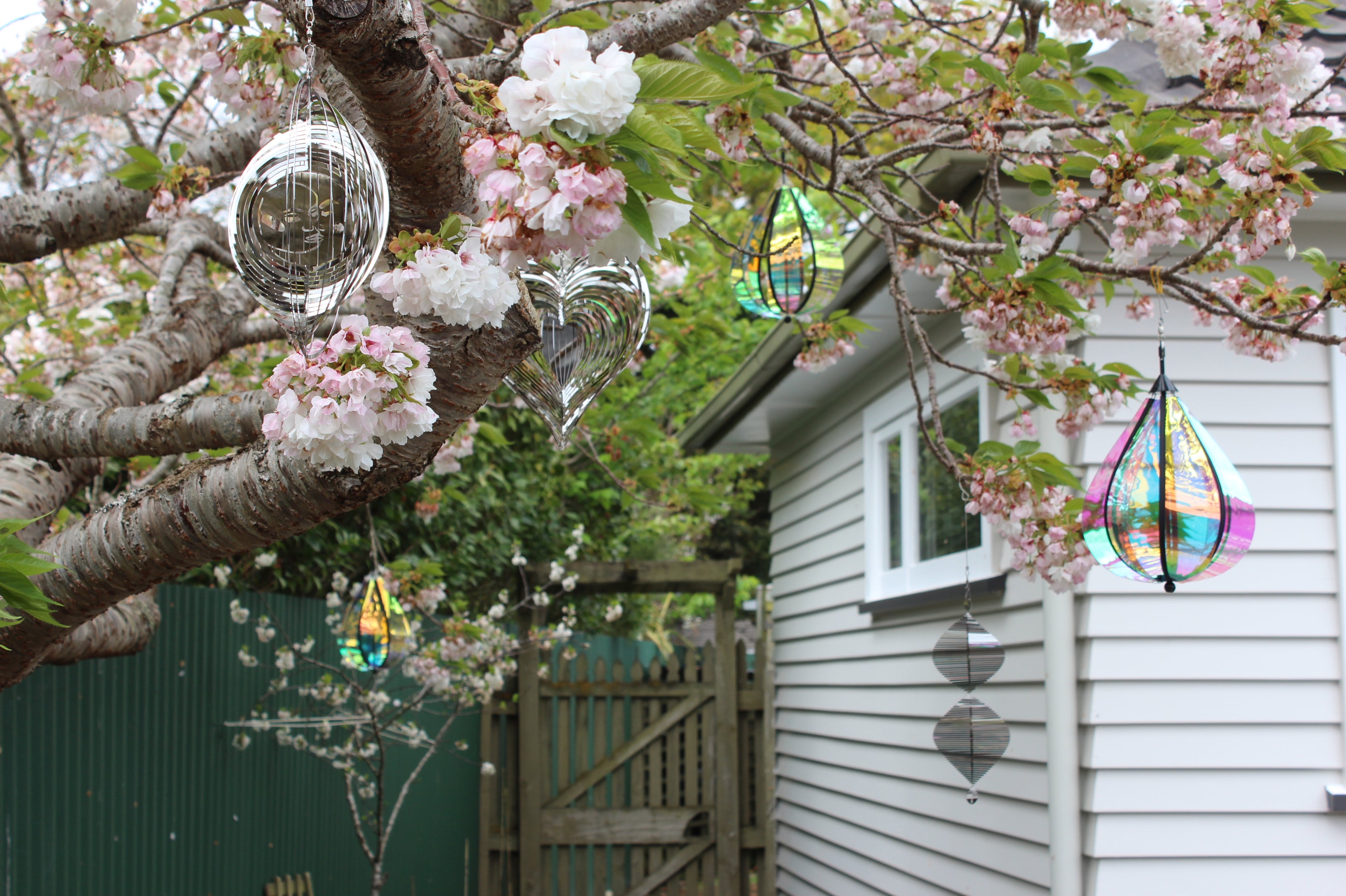 Hanging Designs – Beauty and the Wind
