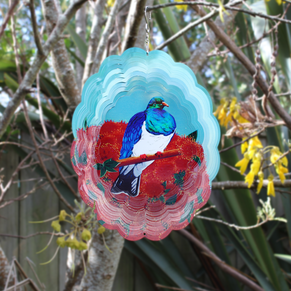 Native New Zealand Birds – Beauty and the Wind